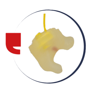 Nos protections auditives - Earow Distribution By Prodways